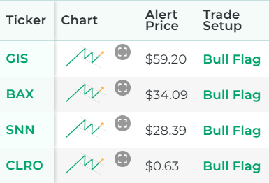 Bull Flag Chart Pattern - How It Works and How Traders Can Use It